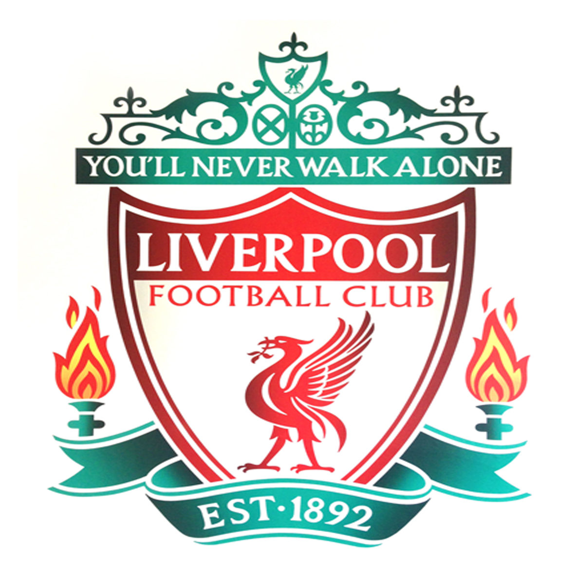 Home - Mark Shortland